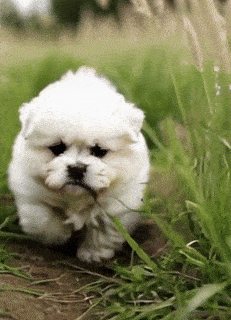 Kling AI 1.6 Text to Video Serverless API